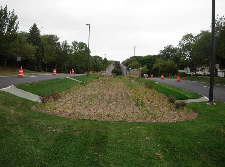 How Bio-Swales Help the Environment and Improve Site Drainage - NJ Site Work Contractor