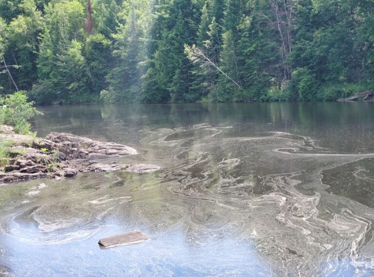 The Different Types of Sediment Traps in Sitework Construction